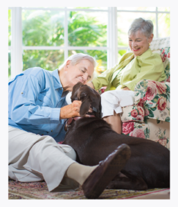 Program All-Inclusive Care for the Elderly (PACE) | MorseLife - MorseLife
