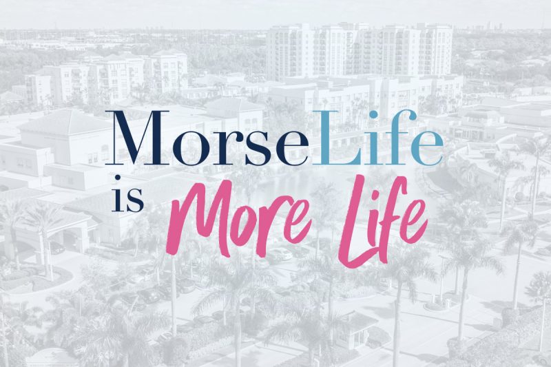 Levin Palace Archives | MorseLife
